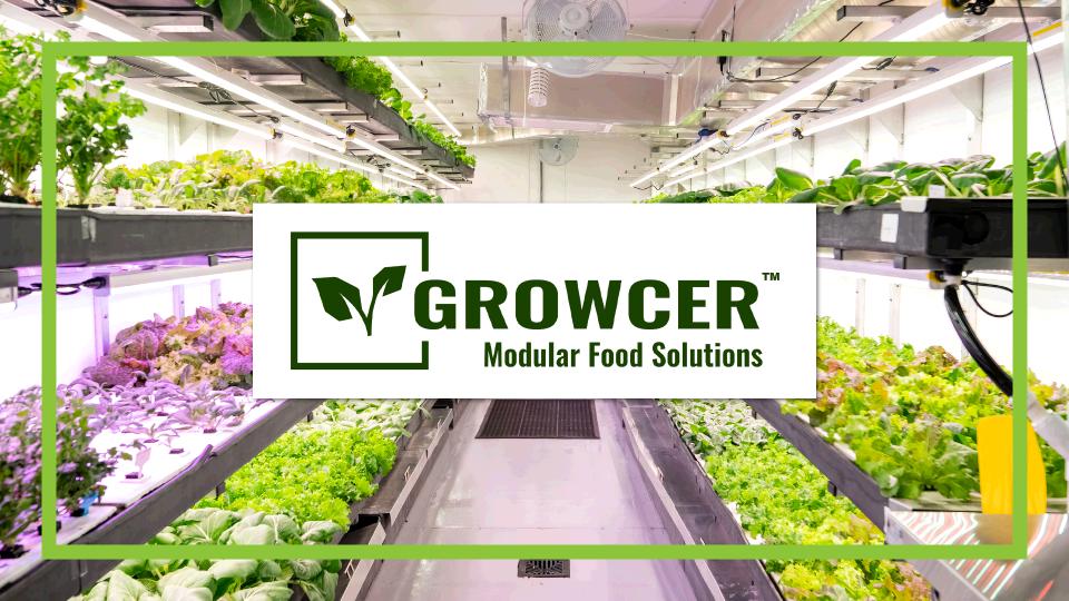 Growing Fresh, Sustainable Produce in the Heart of Ucluelet | Ucluelet ...